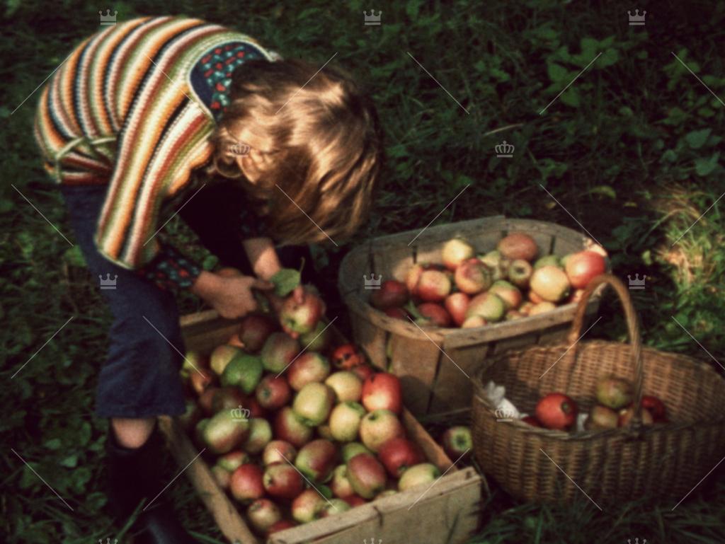 Cueillette des pommes - Suzanne & Martha